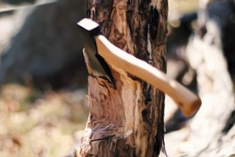 Swing that Tree Felling Axe – Mr Mrs